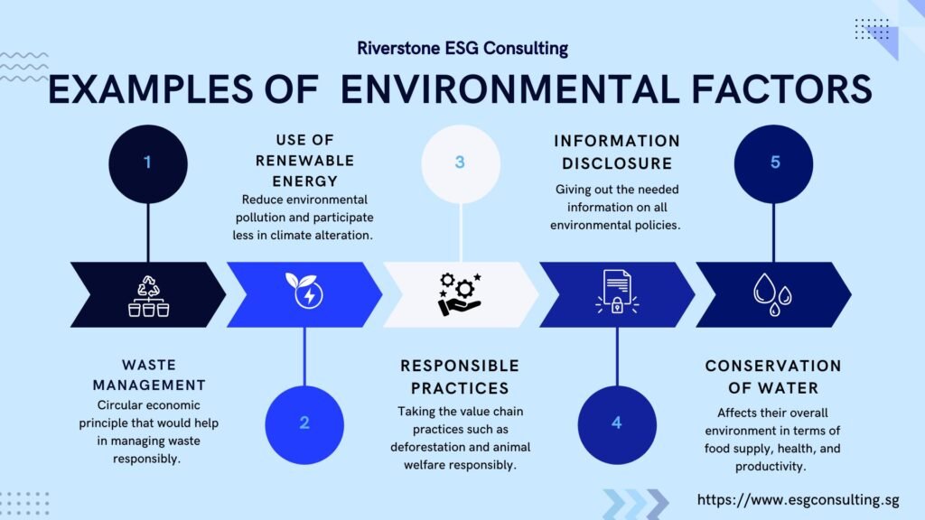 The Role of governance Criteria in ESG Evaluation: A Comprehensive Guide