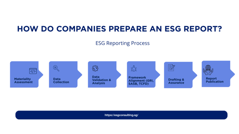 How Do Companies Prepare an ESG Report
